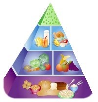 bases de l'alimentation